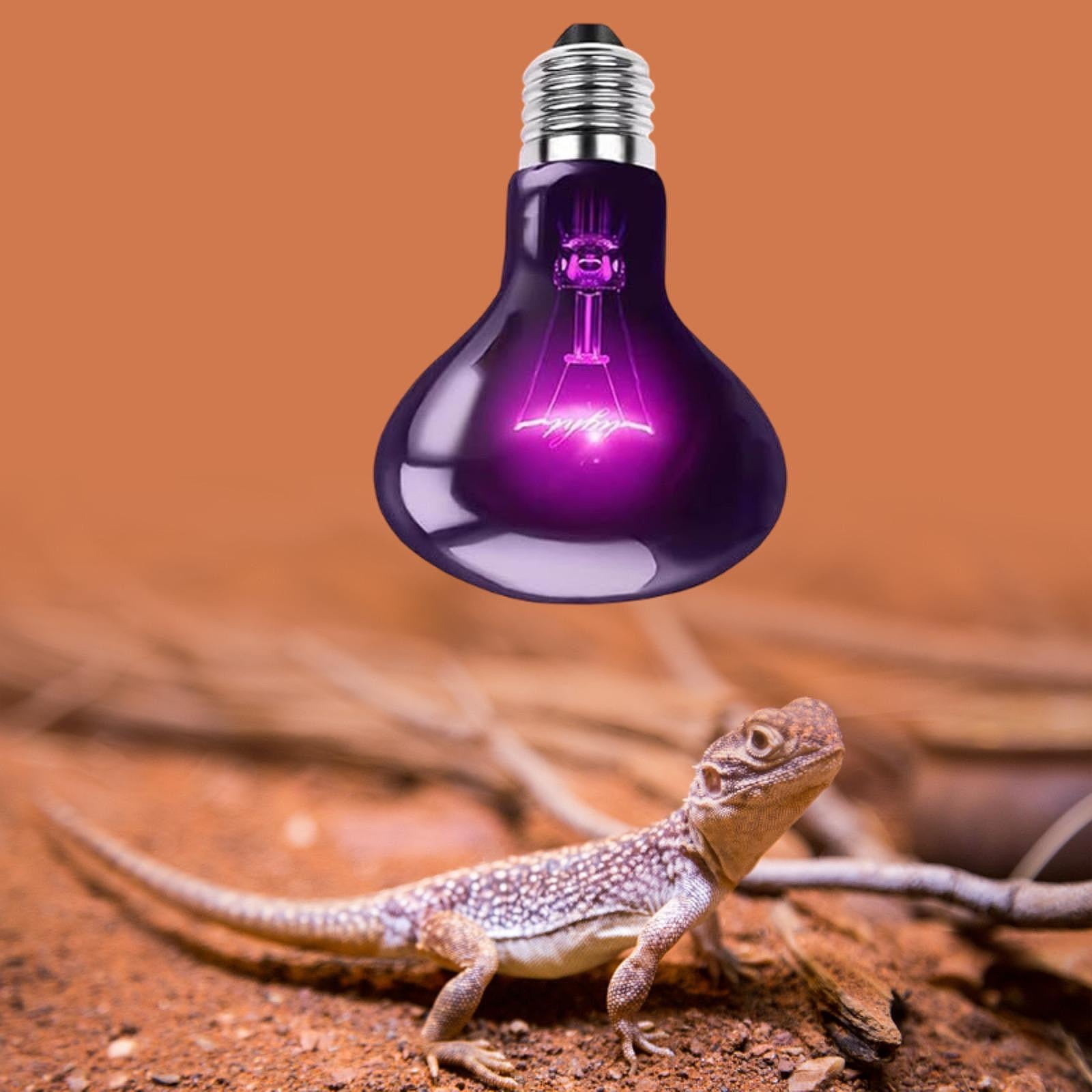 Serenable E26 Base Heat Lamp Bulb, Pets Light Basking Lamp, Reptile ...
