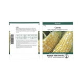 Serendipity Hybrid Triplesweet Corn Garden Seeds - 20 Gram Packet - Non ...