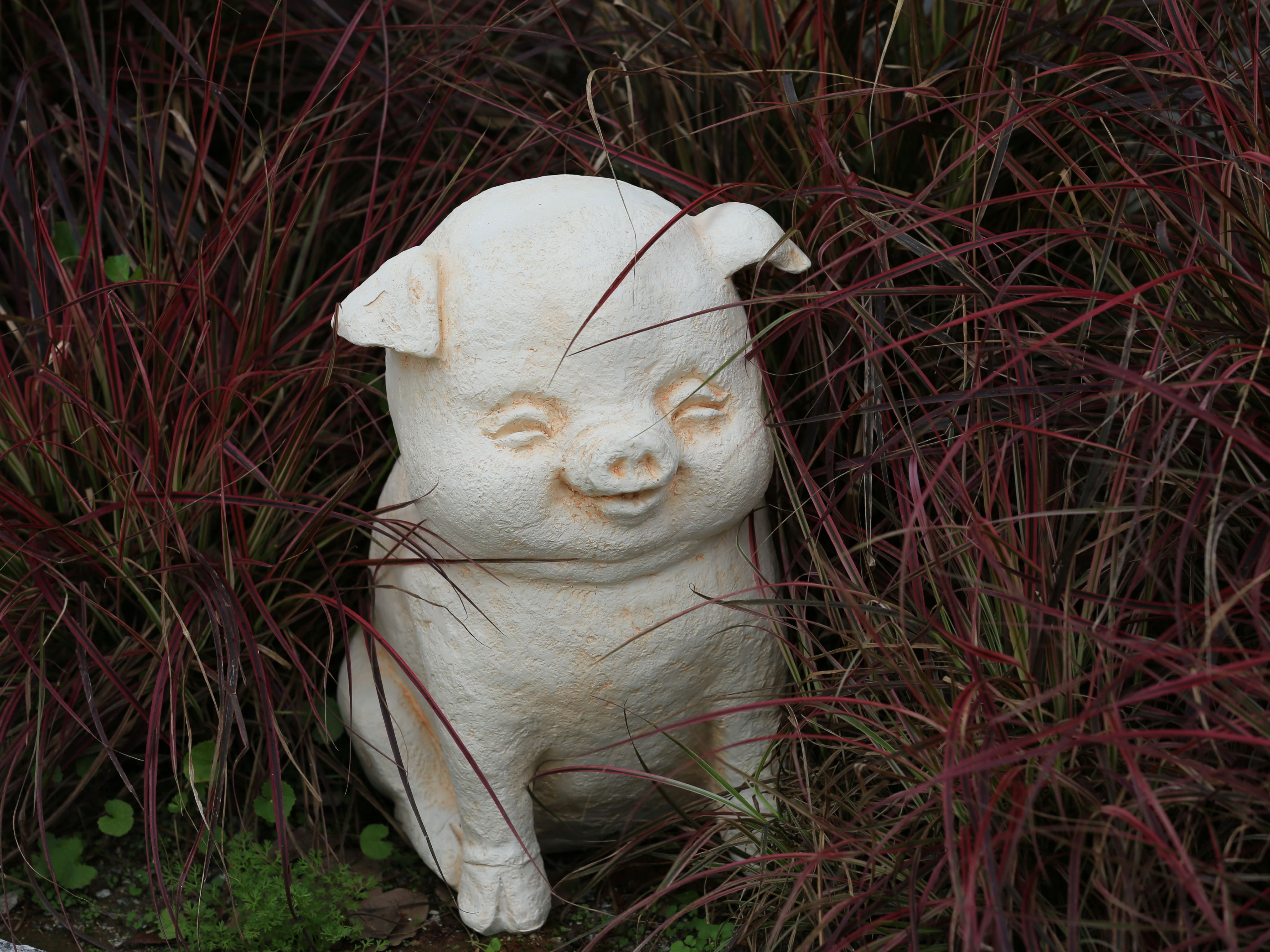 Serene Oinker Classic Curled Sitting Pig Statue - Walmart.com