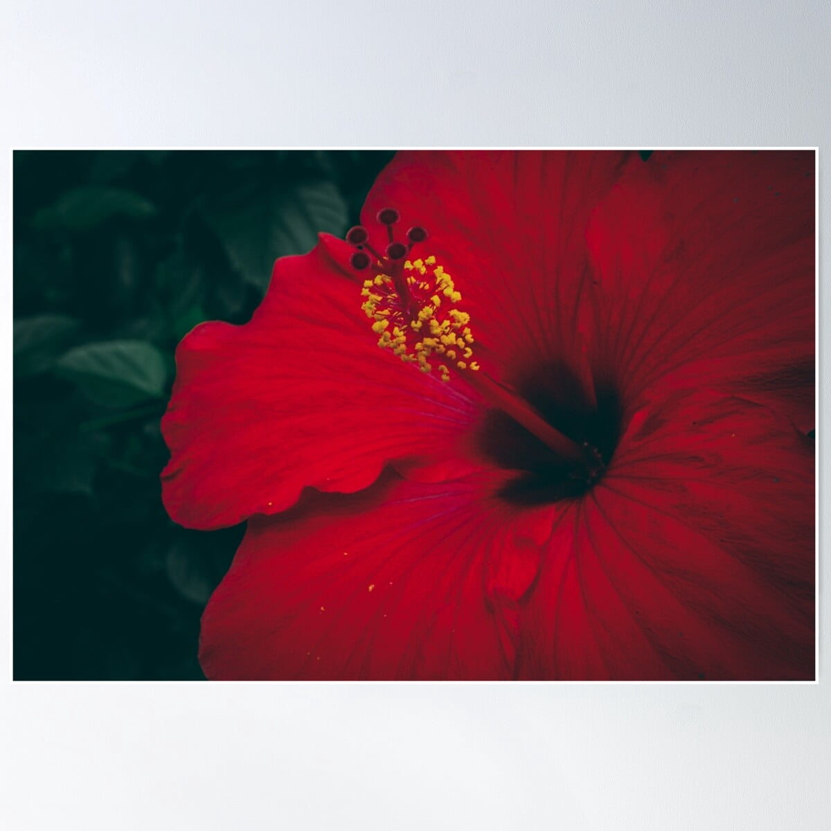 Serene Poster Wall Art, Modern Wall Decor For Living Room Bedroom ...