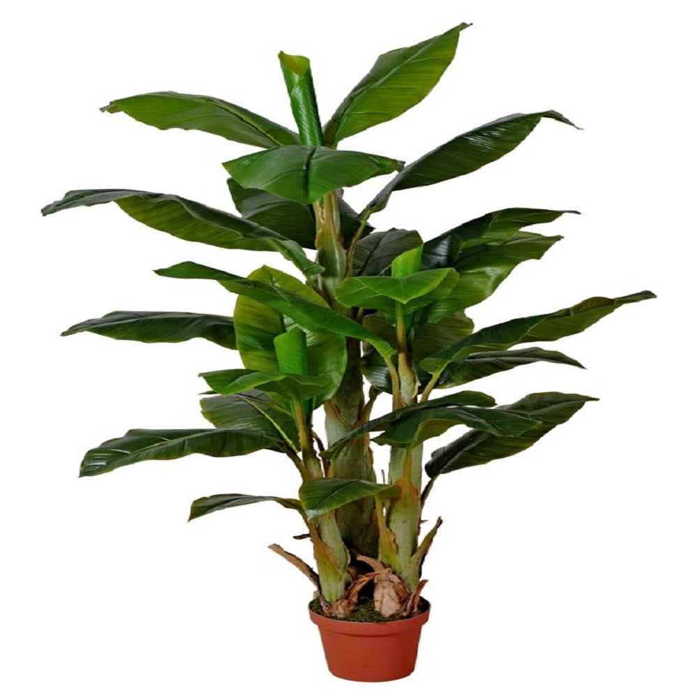 Serene Spaces Living Artificial Banana Tree in Pot, 16" Diameter & 65 ...