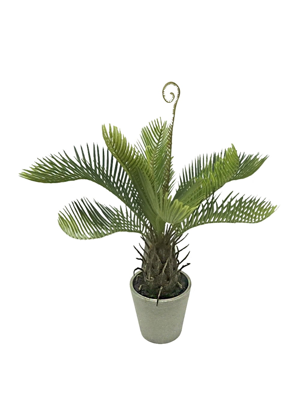 Serene Spaces Living Artificial Cycad Tree in Pot, Silk, Home Decor ...