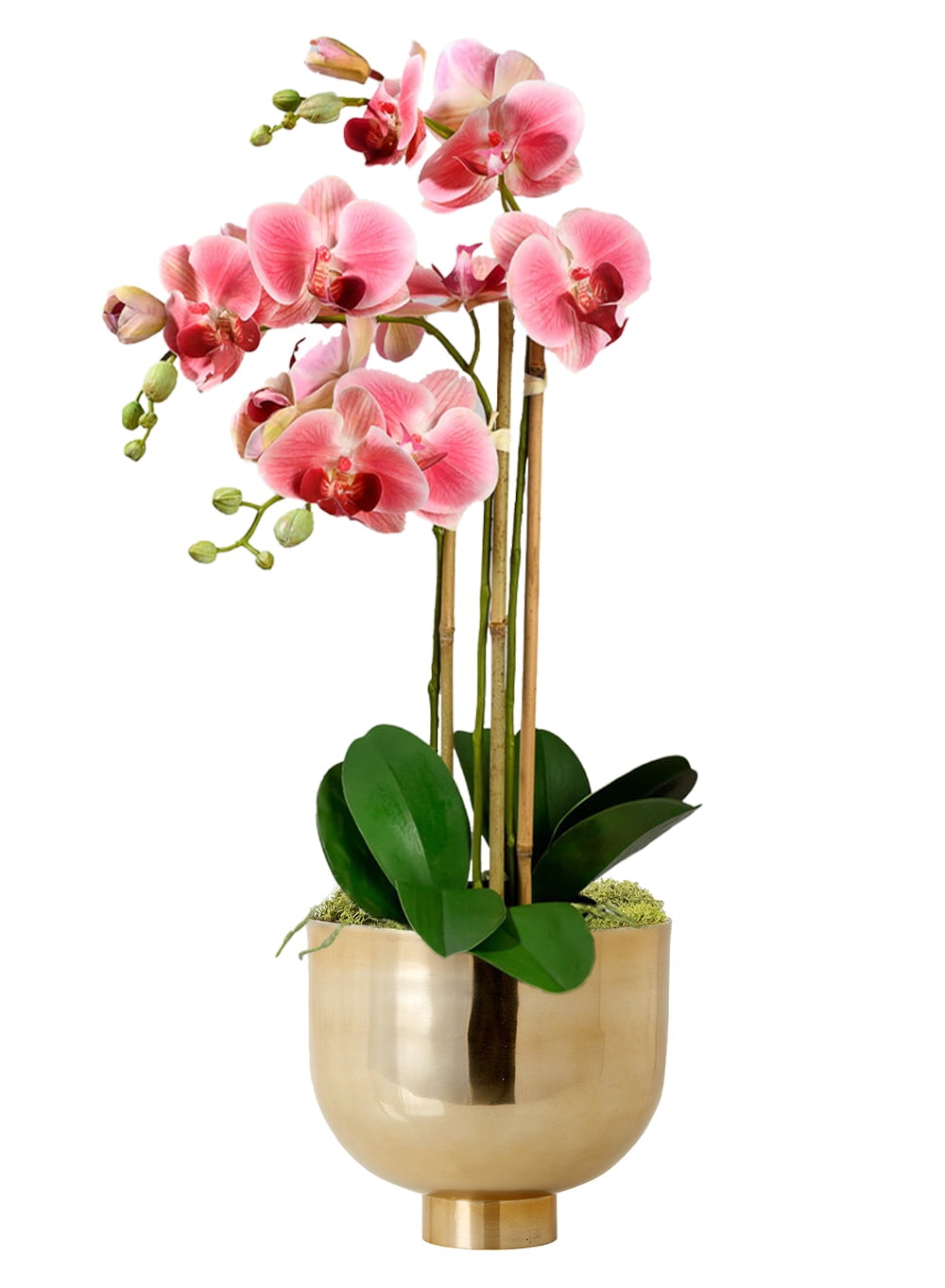 Serene Spaces Living DIY Pink Orchid KIT: Faux Potted Plant, Bowl ...