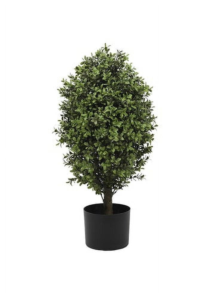 Serene Spaces Living Faux Oval Boxwood Topiary Tree in Pot, 14" Dia ...