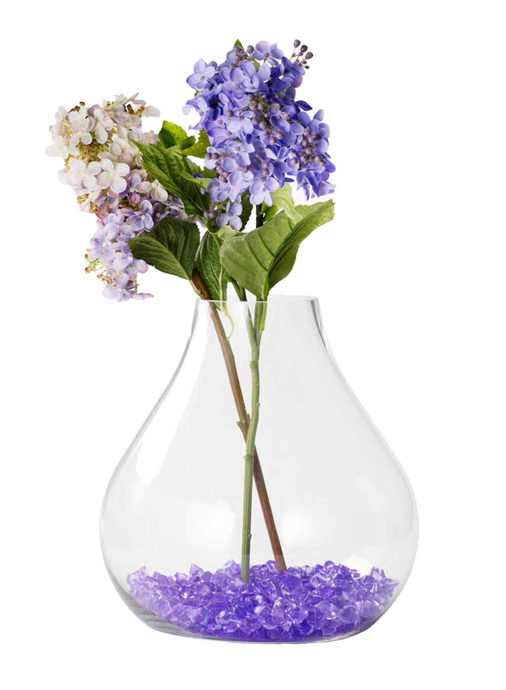 Serene Spaces Living Large Clear Glass Terrarium Vase, 11.5" Diameter ...