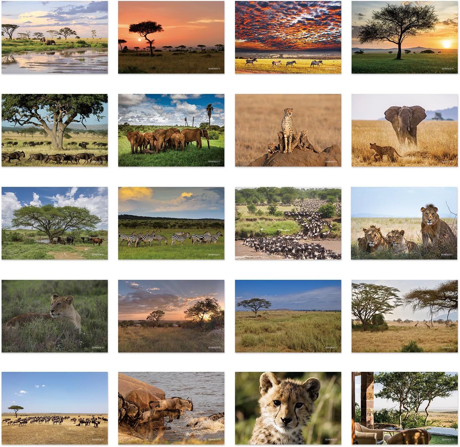Serengeti Tanzania Africa Travel Postcards - Vintage Pack of 20 for ...
