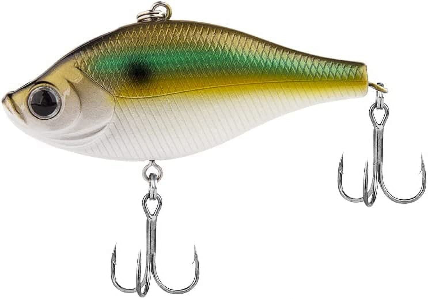 Sergeant Lipless Crankbait Rattle 3/4oz 3D Eyes, gill Plates, Realistic ...