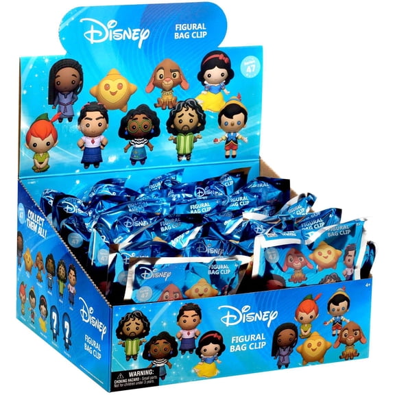 Disney Mystery Pin Box