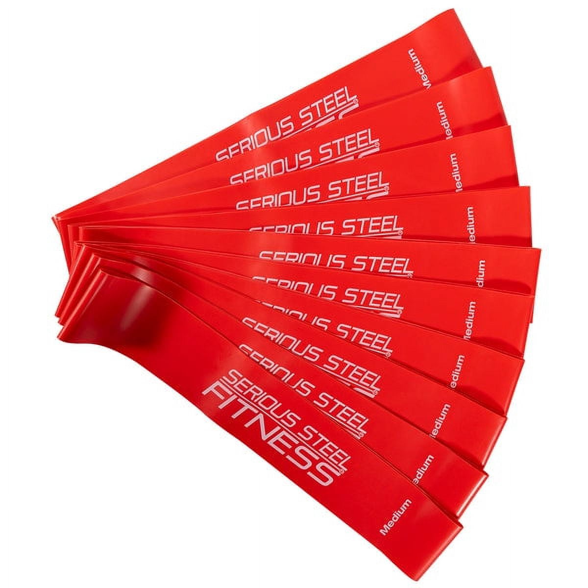 Serious Steel Fitness Mini Loops Resistance Band (Exercise & Physical ...