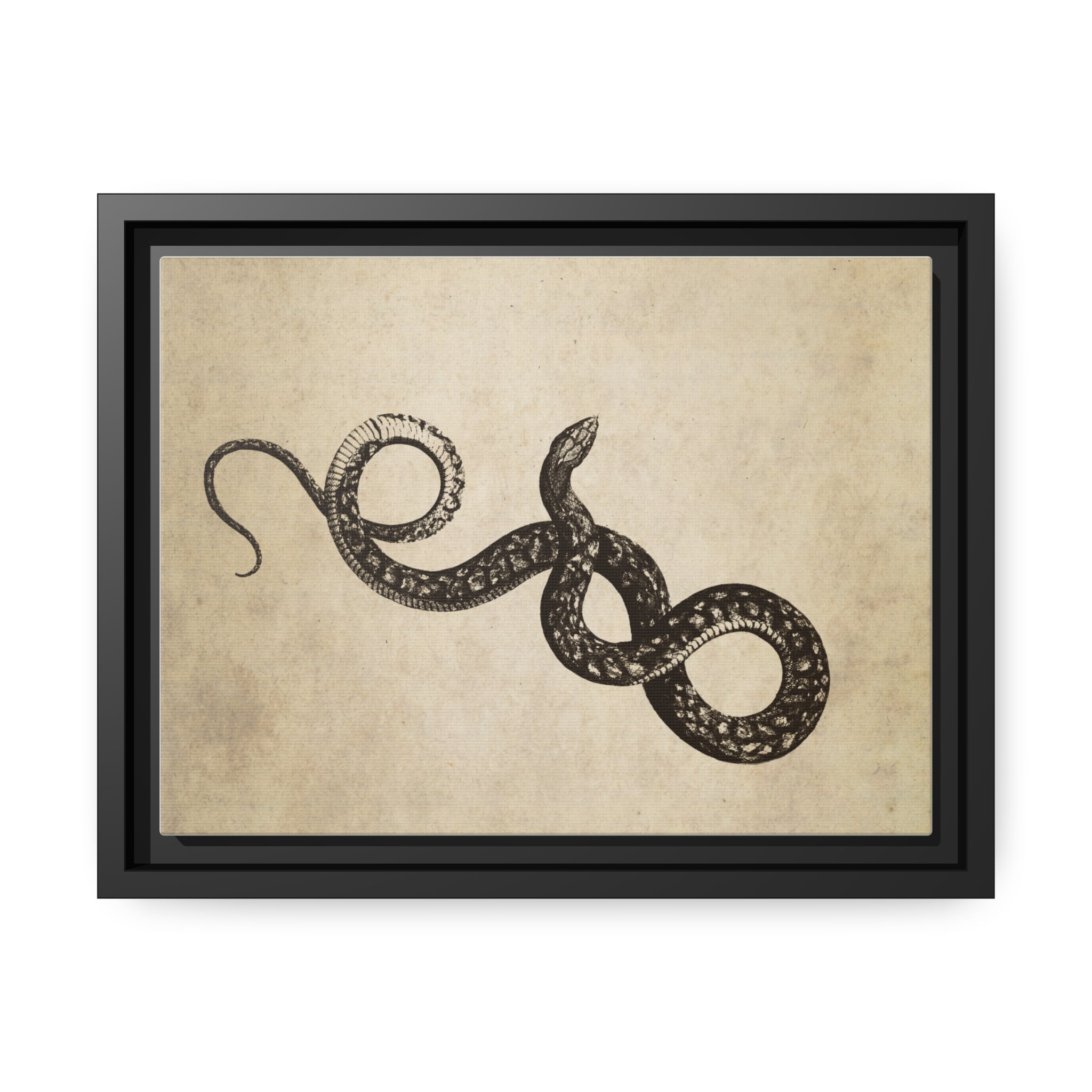 Serpentine Elegance Canvas Print Antique Brown & Black Snake Wall ...