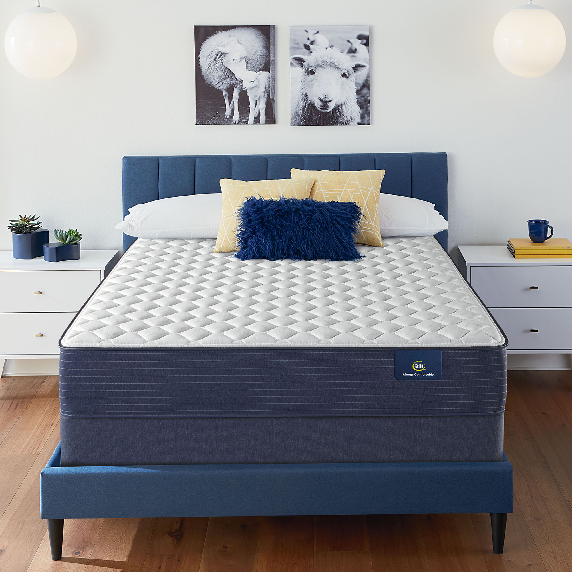 Dream Solutions Highlight Luxury Firm 14" Innerspring Mattress and Box ...