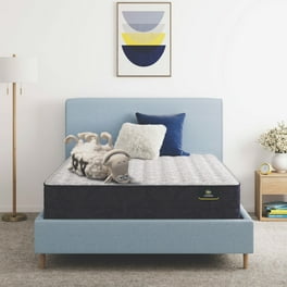 Slumber 1 by zinus dream pillow top 10 innerspring mattress store