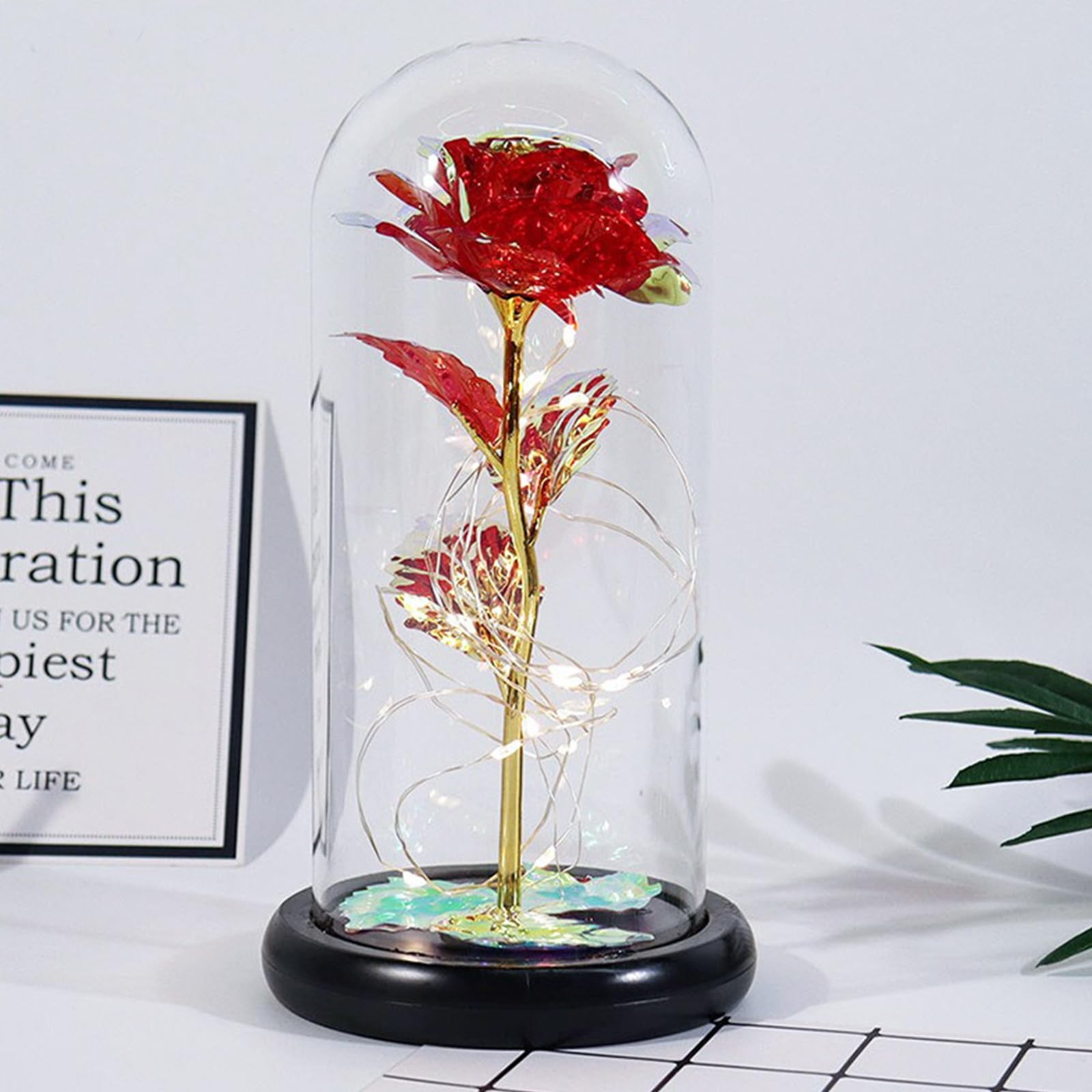 Serum Eternal Rose, Fanyil Eternal Rose, Sheremart Eternal Rose, Sherem ...