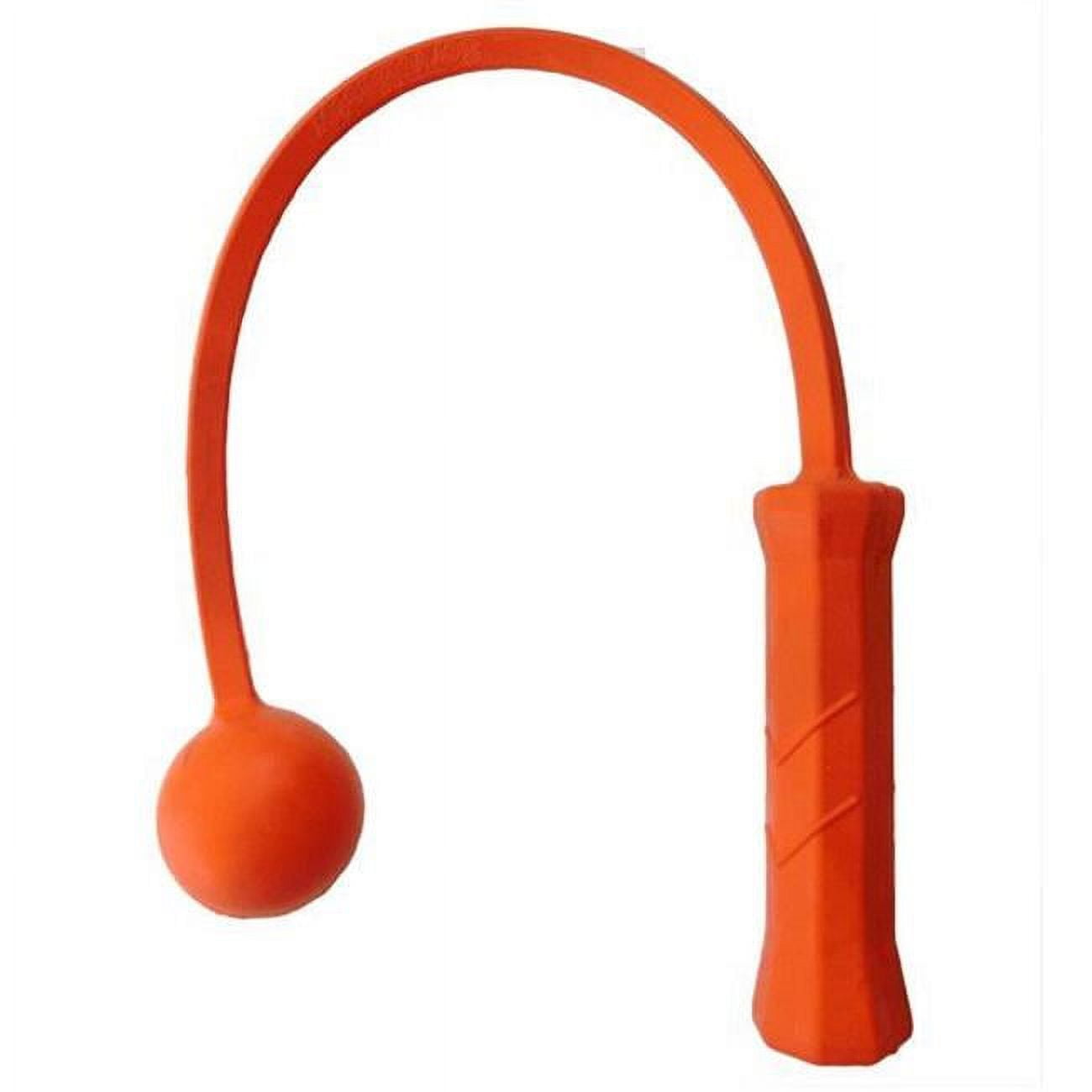 Servemaster SM 001 ServeMaster 1-Ball Serve Tool & Swing Trainer for ...