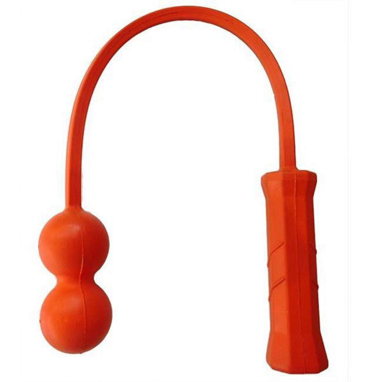 Servemaster SM 002 Servemaster 2-Ball Serve Tool & Swing Trainer for Tennis Training - Walmart.com