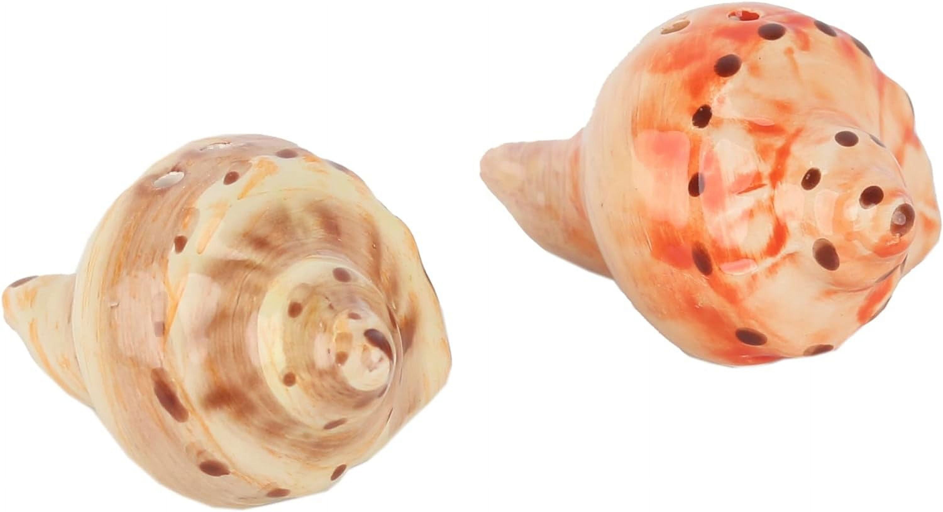 Servette Home Exquisite Ceramic Salt and Pepper Shakers Conch Shell ...