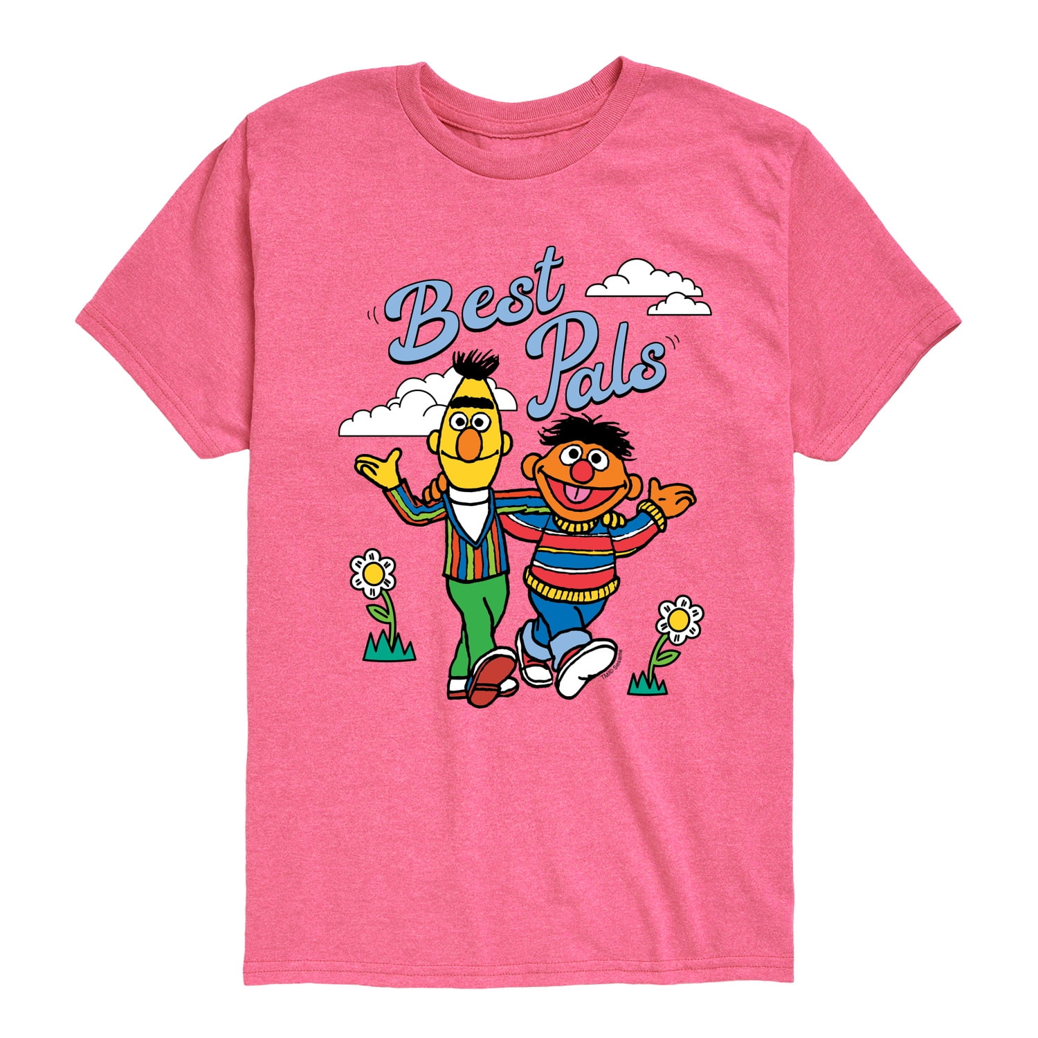 Sesame Street - Bert Ernie Best Pals - Toddler and Youth Short Sleeve ...