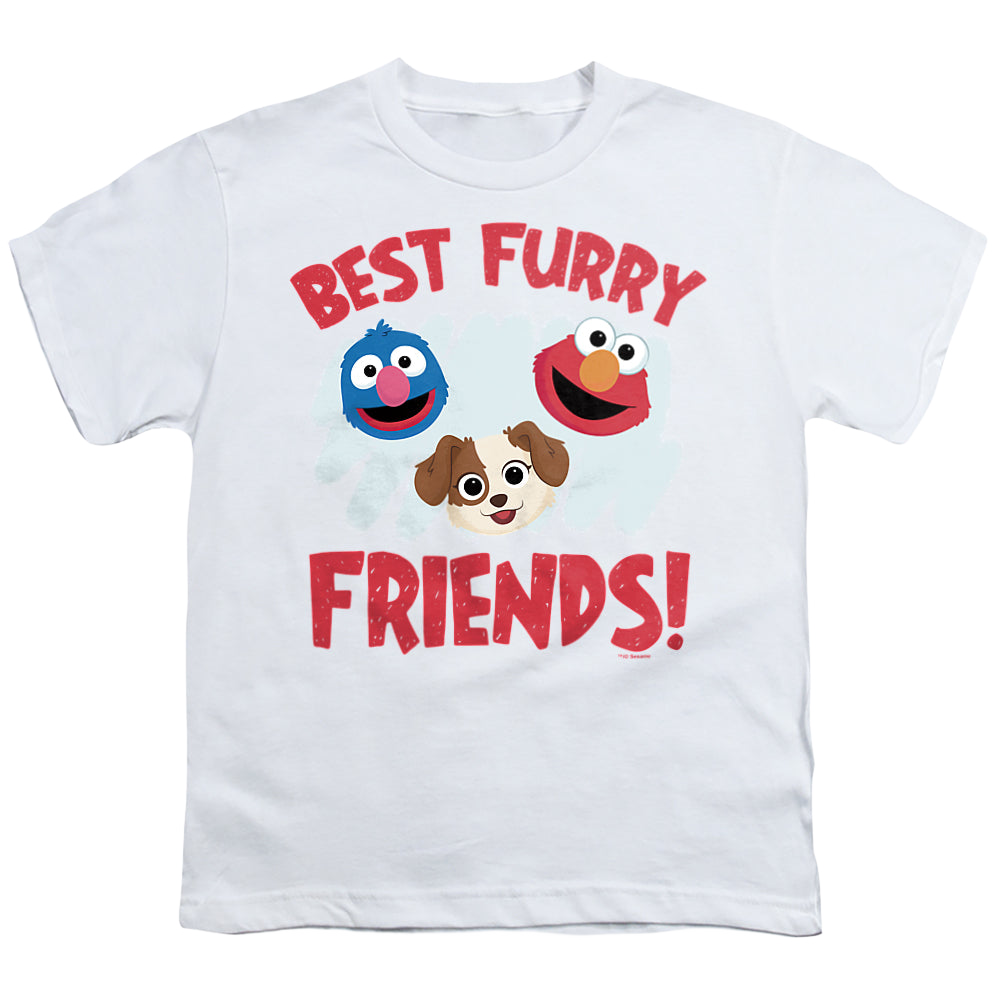 Sesame Street Best Furry Friends - Youth T-Shirt - Walmart.com