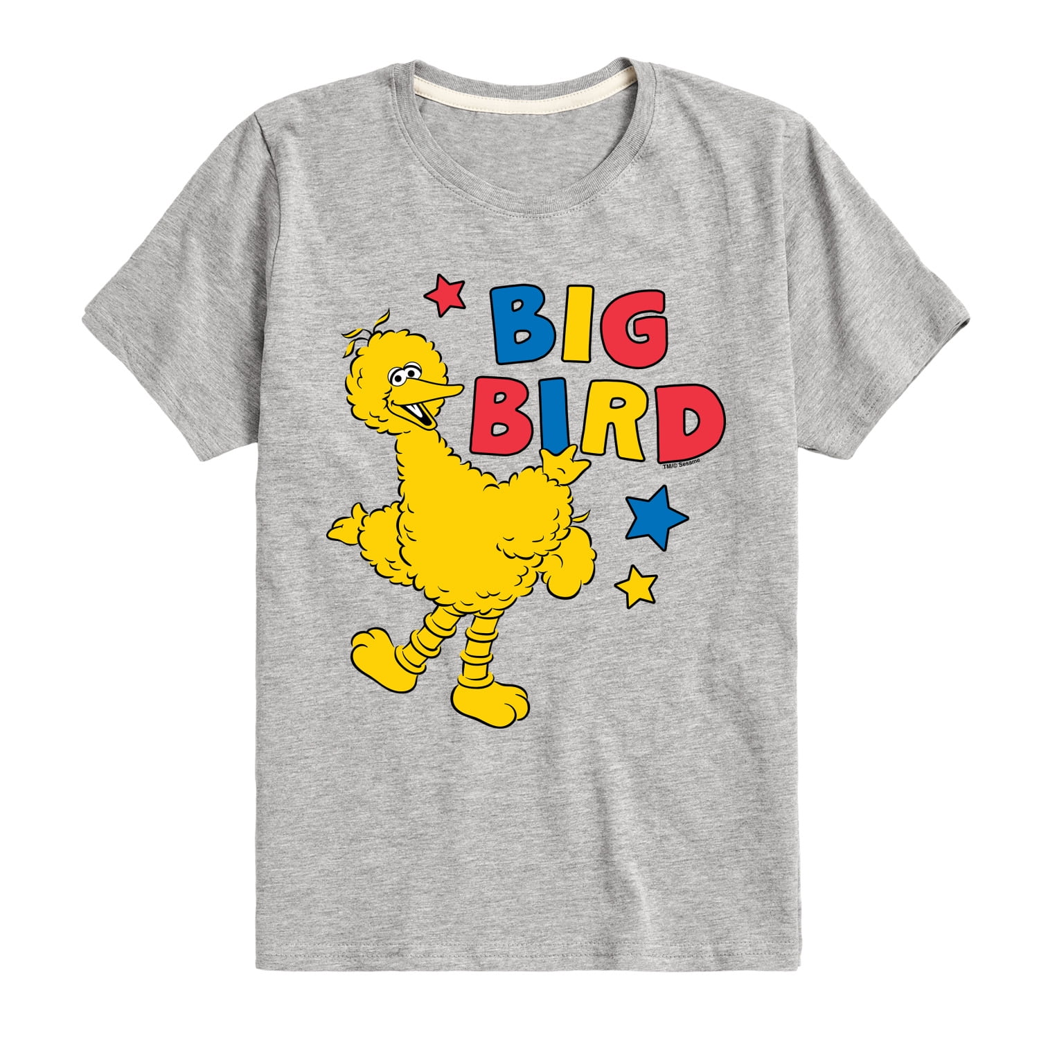 Sesame Street - Big Bird Color Block - Toddler and Youth Short Sleeve ...