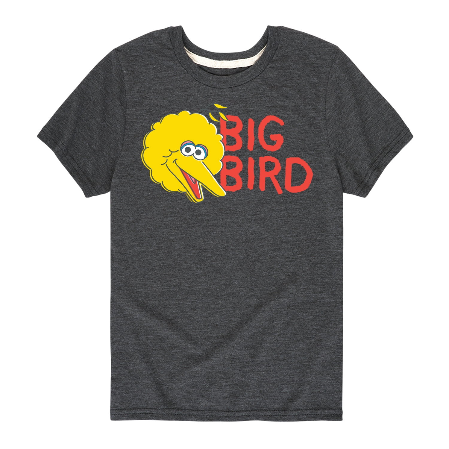Sesame Street - Big Bird - Toddler and Youth Short Sleeve Graphic T ...