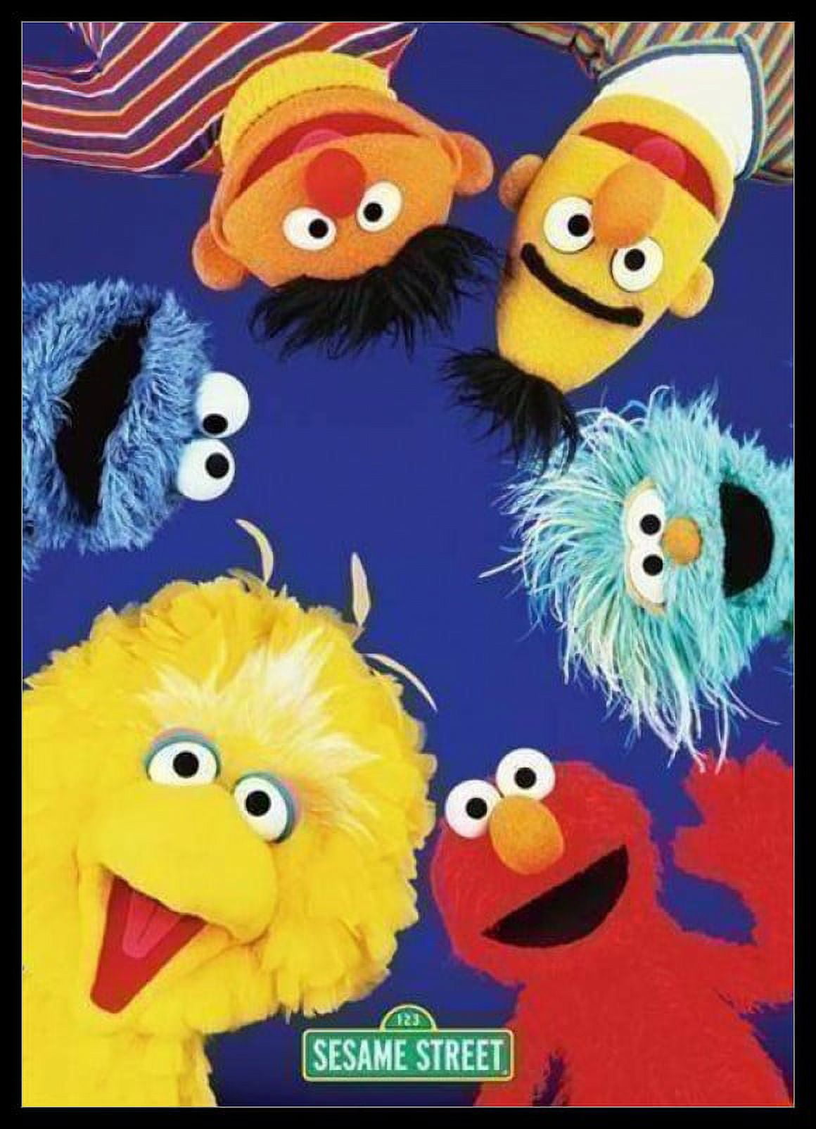 Sesame Street Cast Laminated & Framed Poster by (24 x 36) - Walmart.com