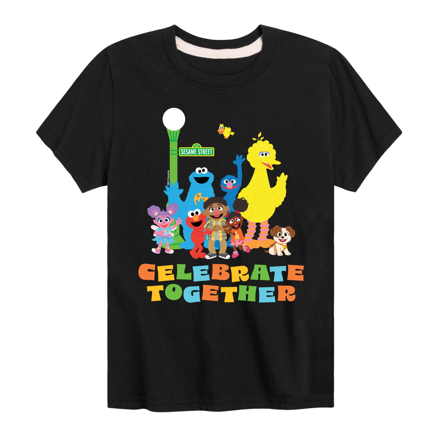 Sesame Street - Celebrate Together - Toddler and Youth Short Sleeve ...