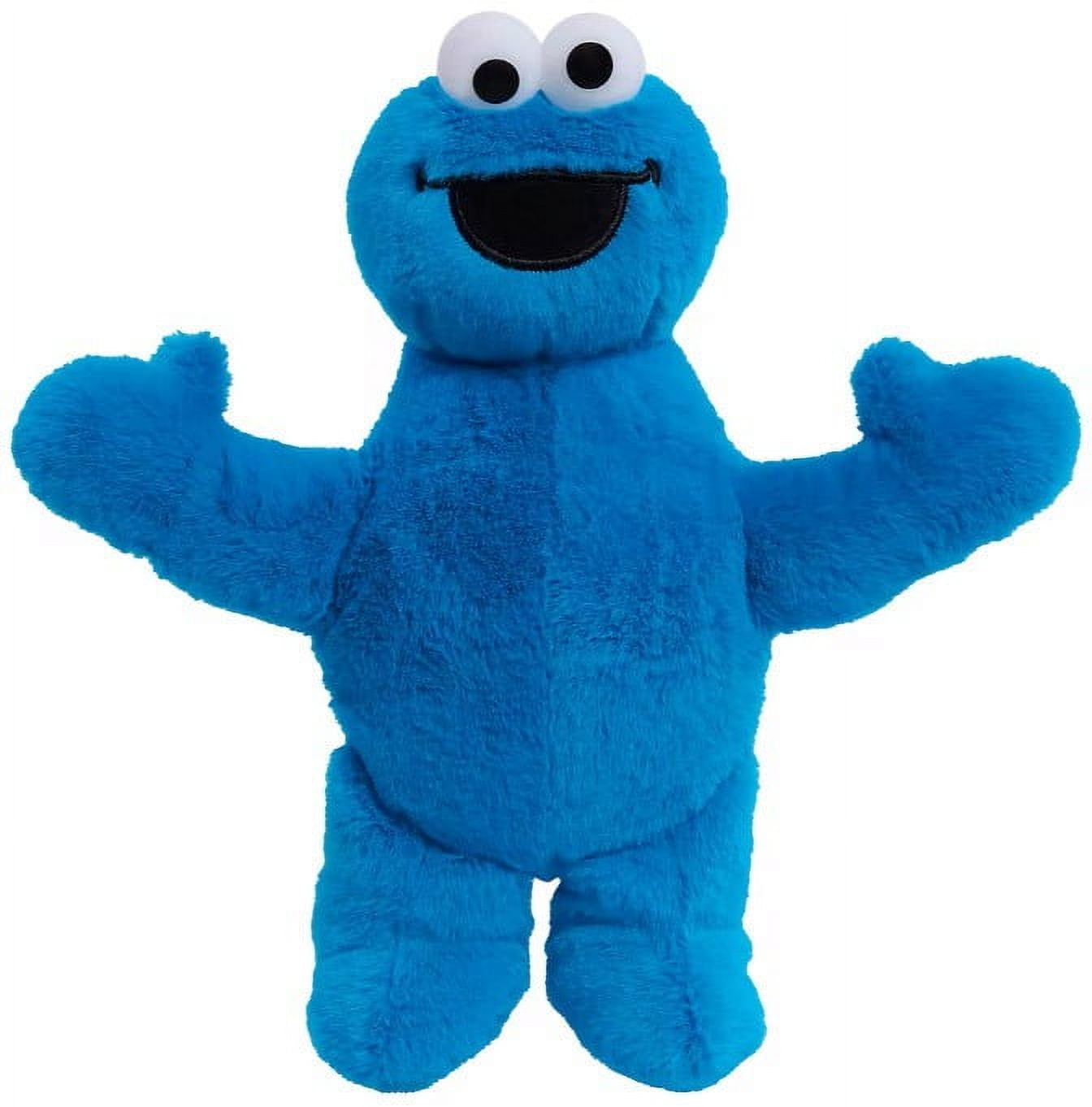 Sesame Street Cookie Monster Plush - Walmart.com