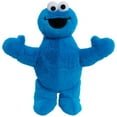 Sesame Street Cookie Monster Plush - Walmart.com