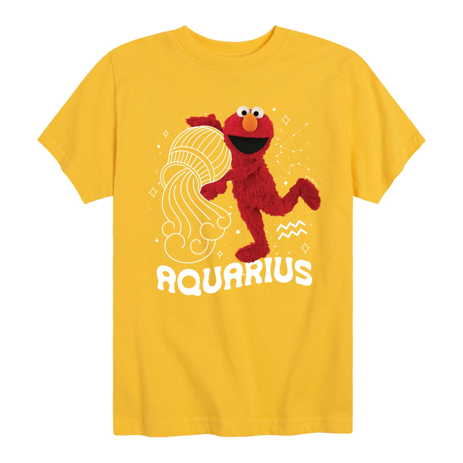 Sesame Street - Elmo Aquarius - Toddler and Youth Short Sleeve Graphic ...