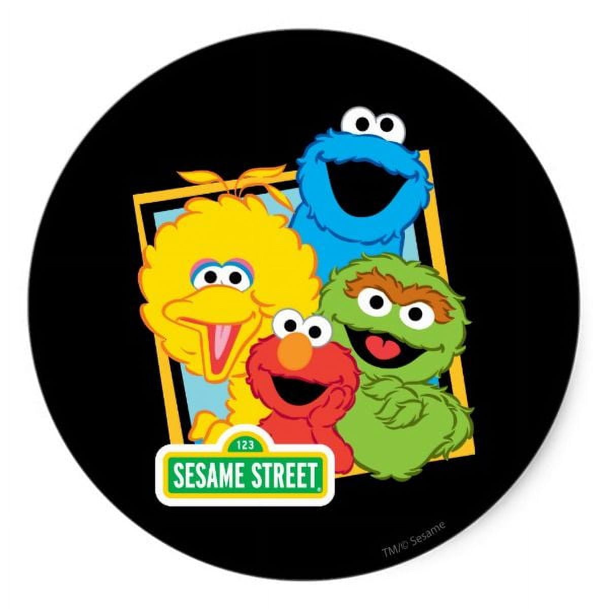 Big Bird Sesame Street Birthday