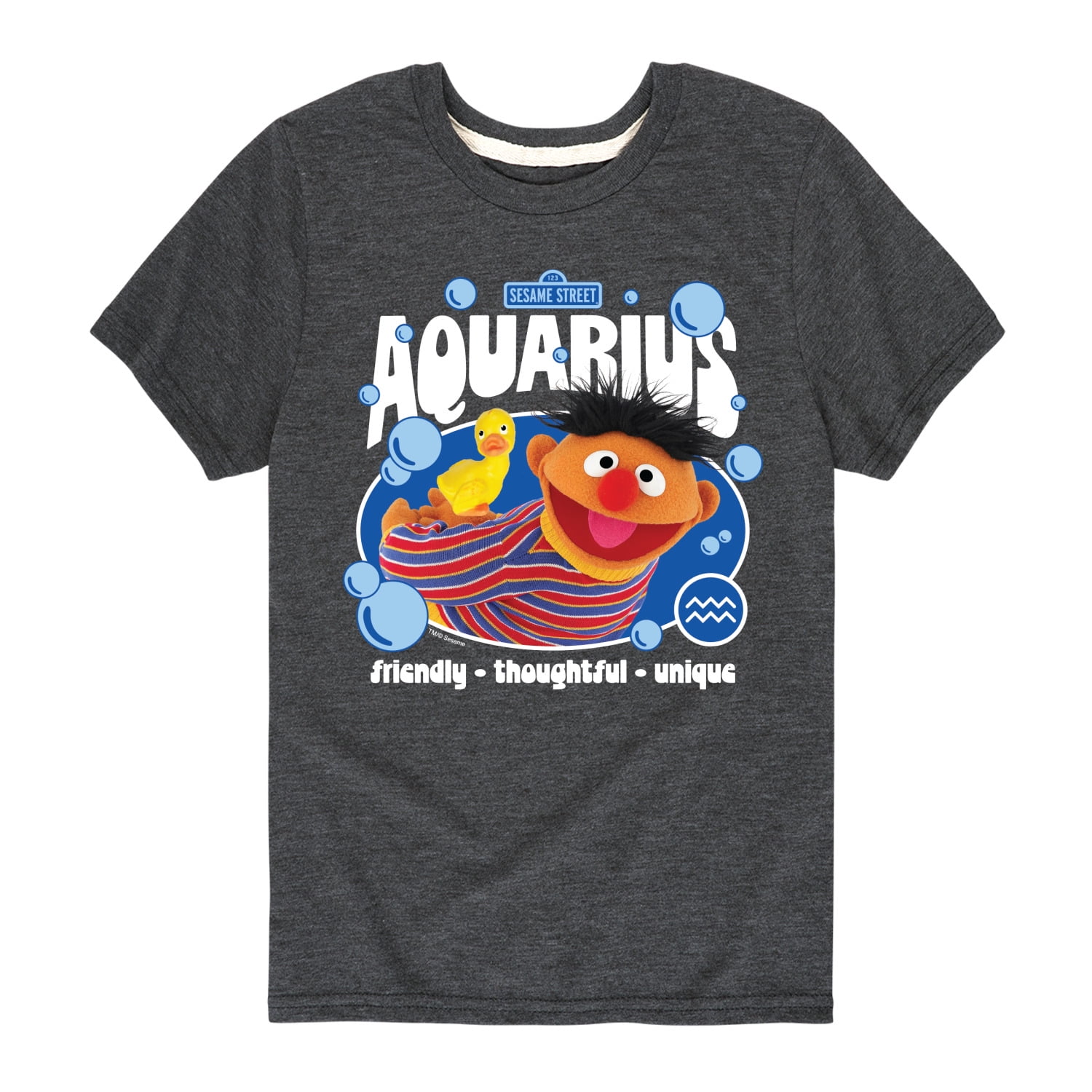 Sesame Street - Ernie Aquarius - Toddler and Youth Short Sleeve Graphic ...