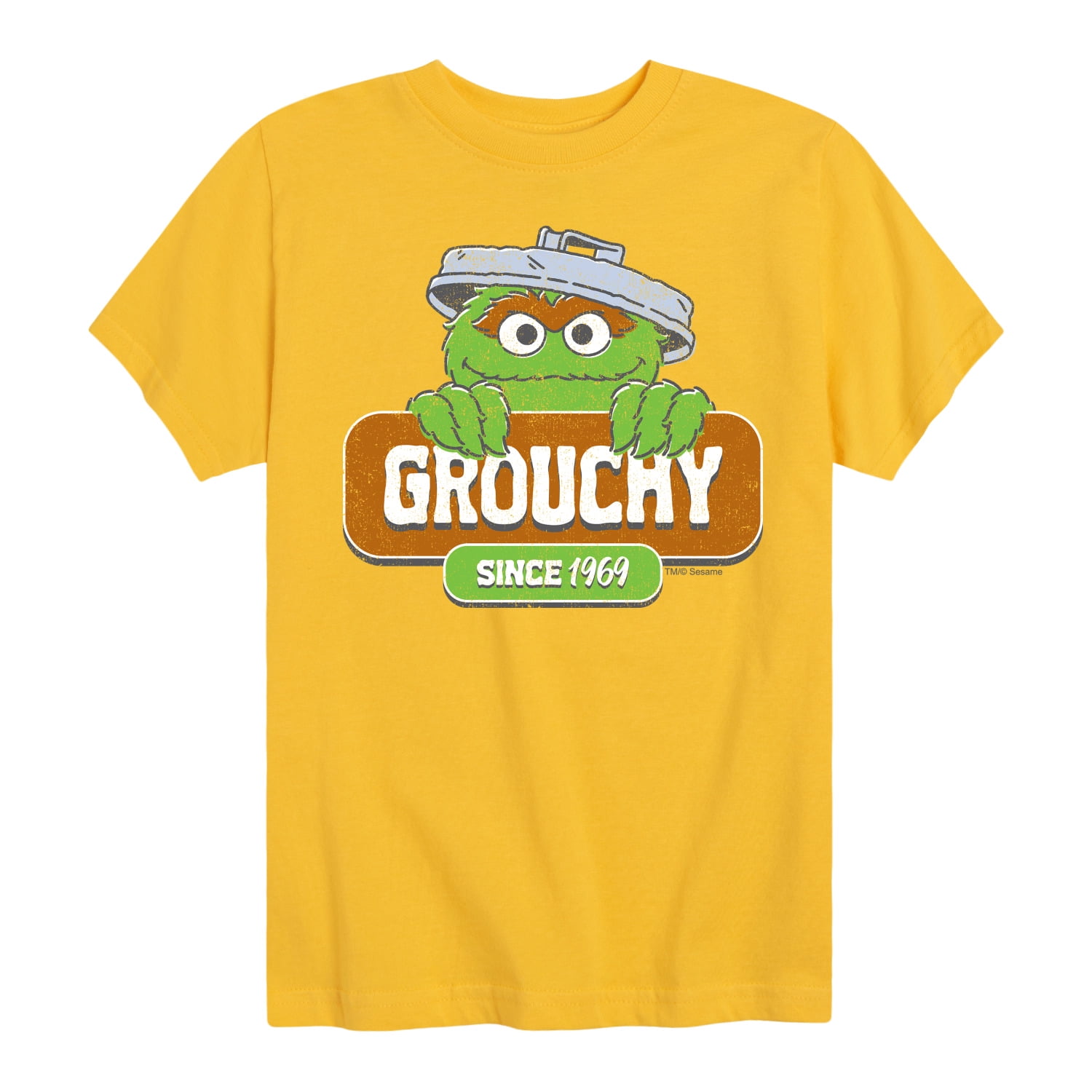 Sesame Street - Grouchy Since 1969 - Toddler and Youth Short Sleeve ...
