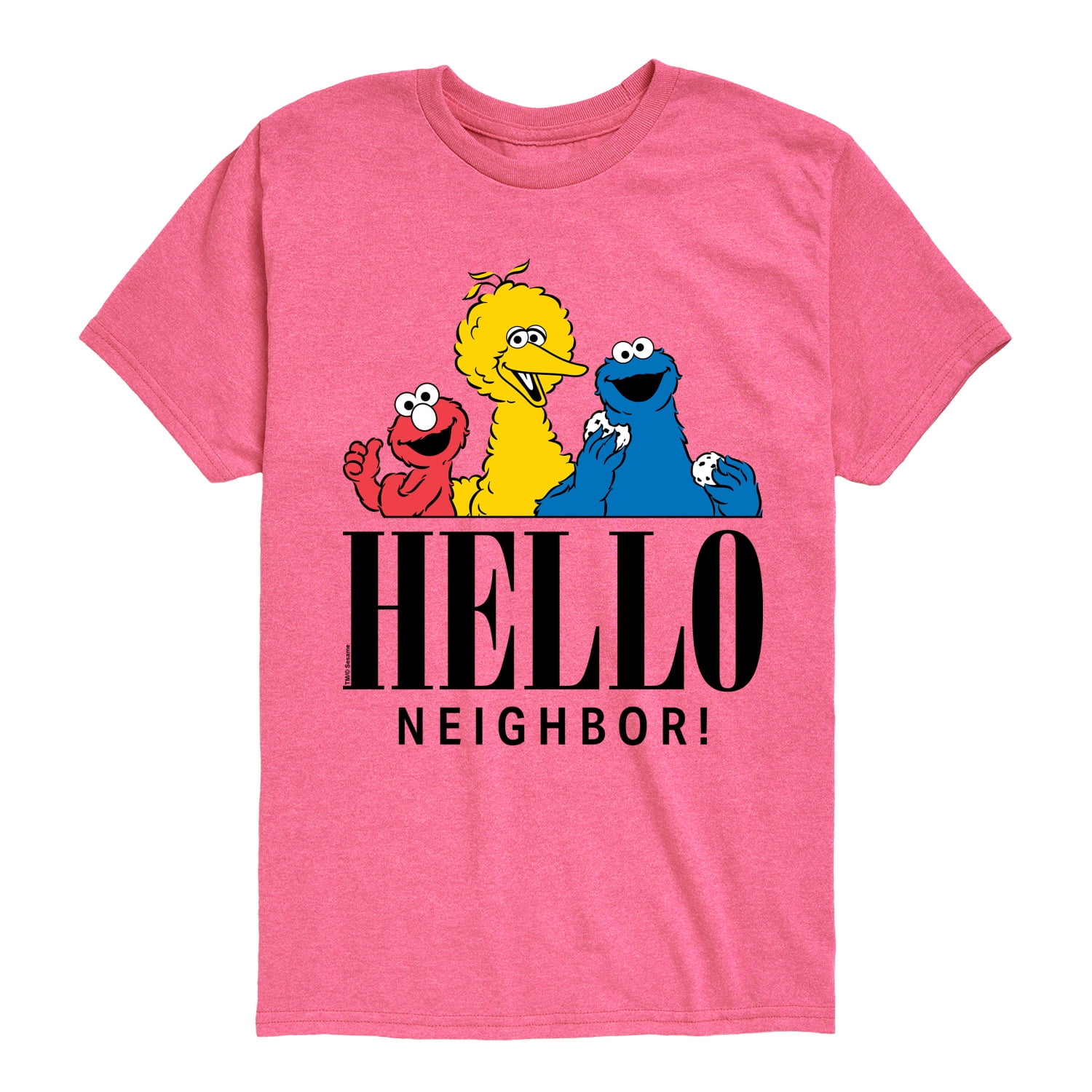 Sesame Street - Hello Neighbor - Toddler and Youth Short Sleeve Graphic ...