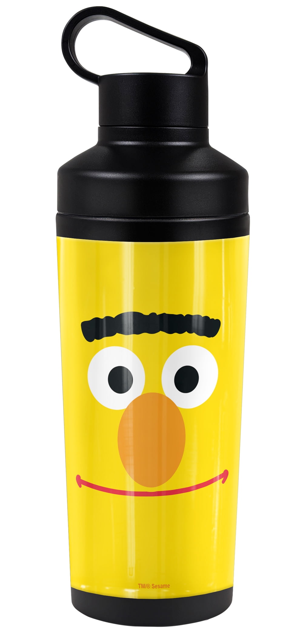 Sesame Street Official Bert Face 18 oz Insulated Water Bottle, Leak ...