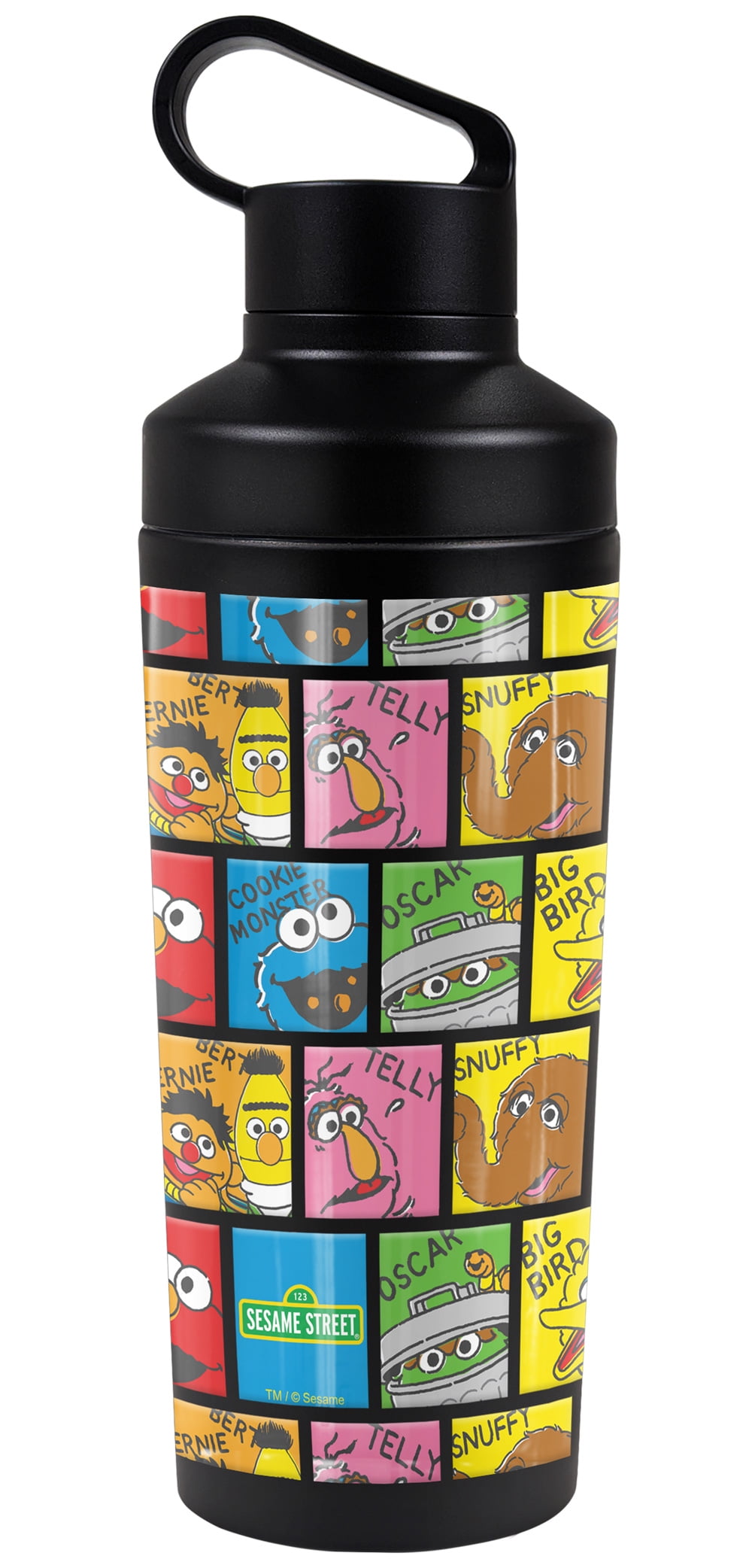 Sesame Street Official Named Blocks 18 oz Insulated Water Bottle, Leak ...