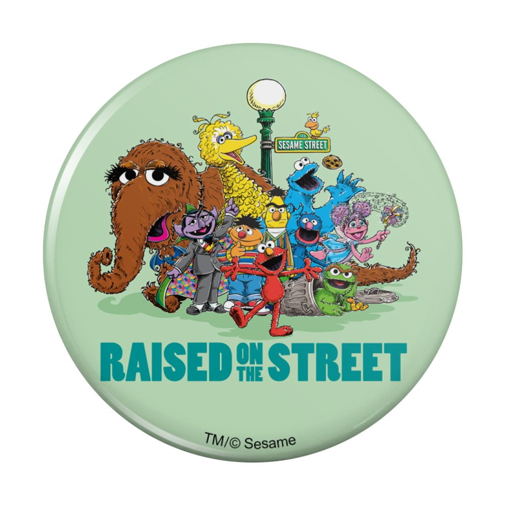 Sesame Street Raised on the Street Pinback Button Pin - Walmart.com