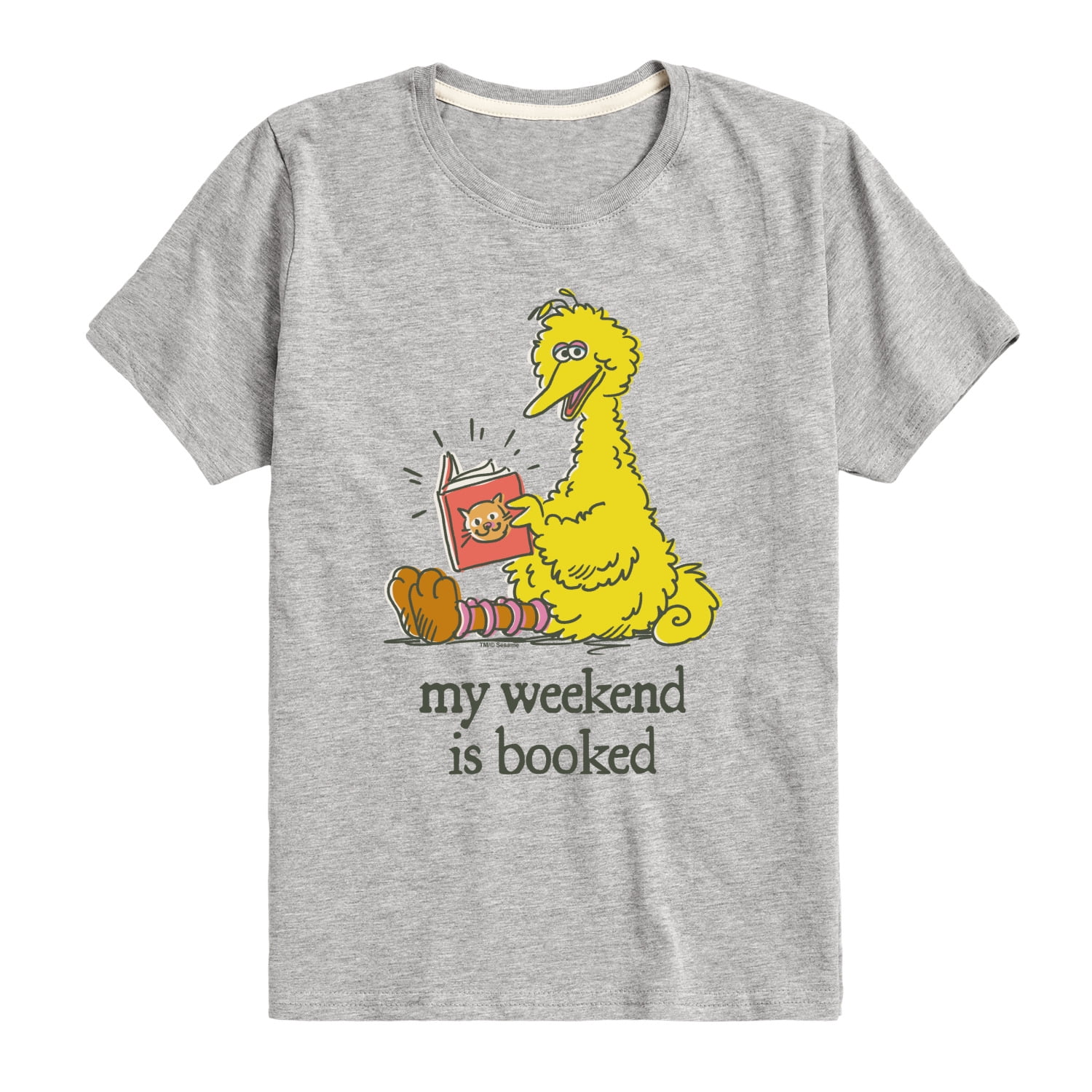 Sesame Street - Weekend Is Booked - Toddler and Youth Short Sleeve ...