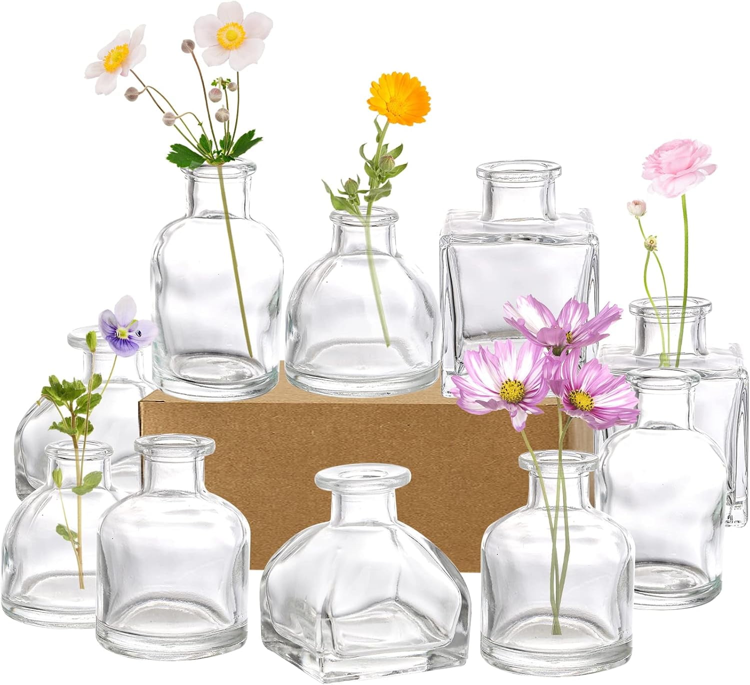Set of 10 Small Glass Flower Vases, Clear Glass Bud Vases, Decorative ...