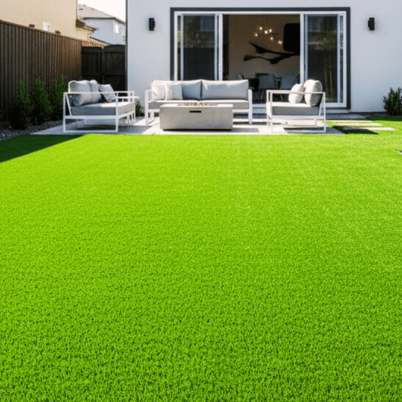 Set 10000 Emerald Zoysia Grass Seeds, Ground Cover for Home Yard, Easy ...