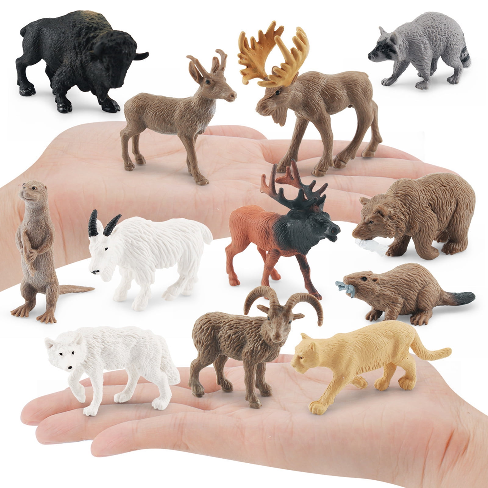 Set of 12 Realistic Forest Animal Models - Including Lion, Pronghorn ...