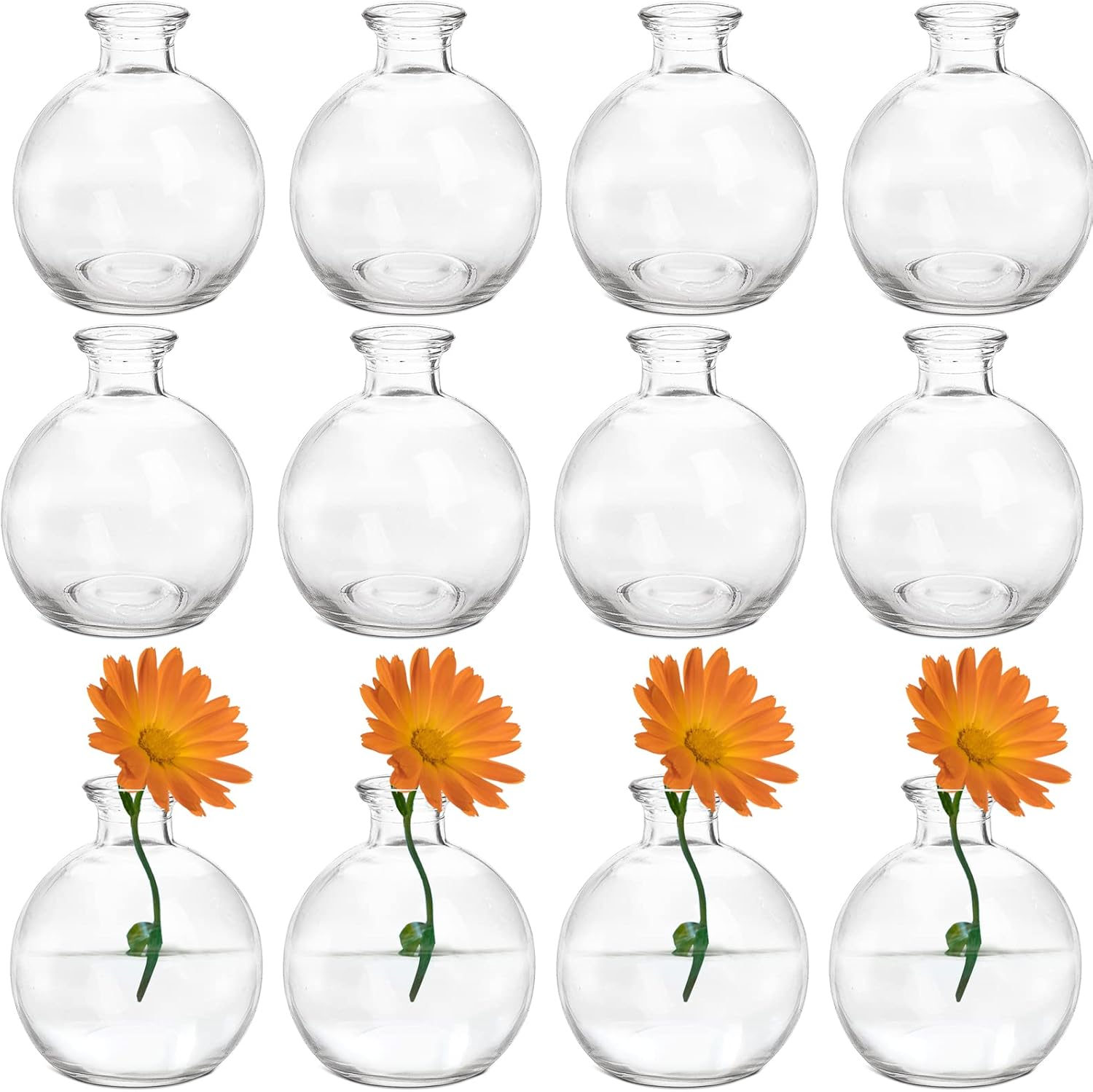 Set of 12 Small Glass Ball Bud Vase, Unique Mini Low Sitting Flower ...
