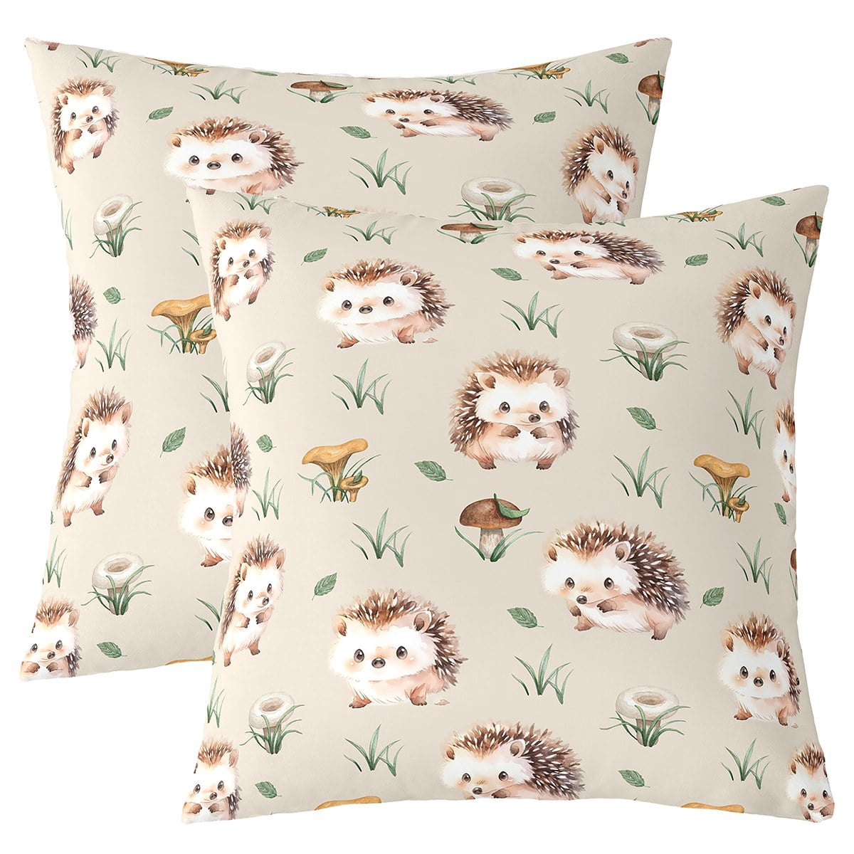 Set of 2 Cartoon Hedgehog Pillow Covers 18x18 Inch For Kids Boys Girls ...