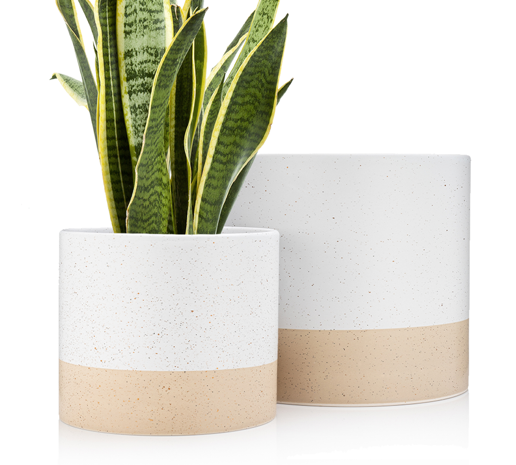 Porto Plant Pots - Matt Black Ceramic Jar Design Plant Pots Indoor ...