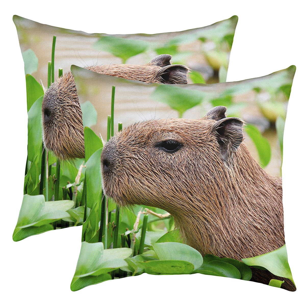 Set of 2 Cute Capybara Throw Pillow Covers 16x16 Inch for Bed Sofa ...