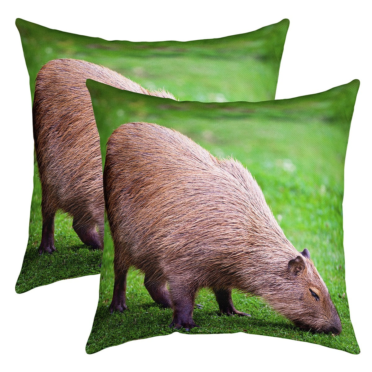 Set of 2 Cute Capybara Throw Pillow Covers 22x22 Inch,Kawaii Decor ...