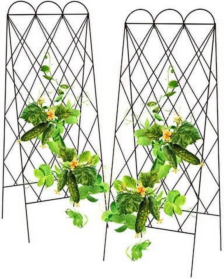 Set of 2 Panacea 90140 Rustic Heirloom Folding Trellises – 60" Tall A ...