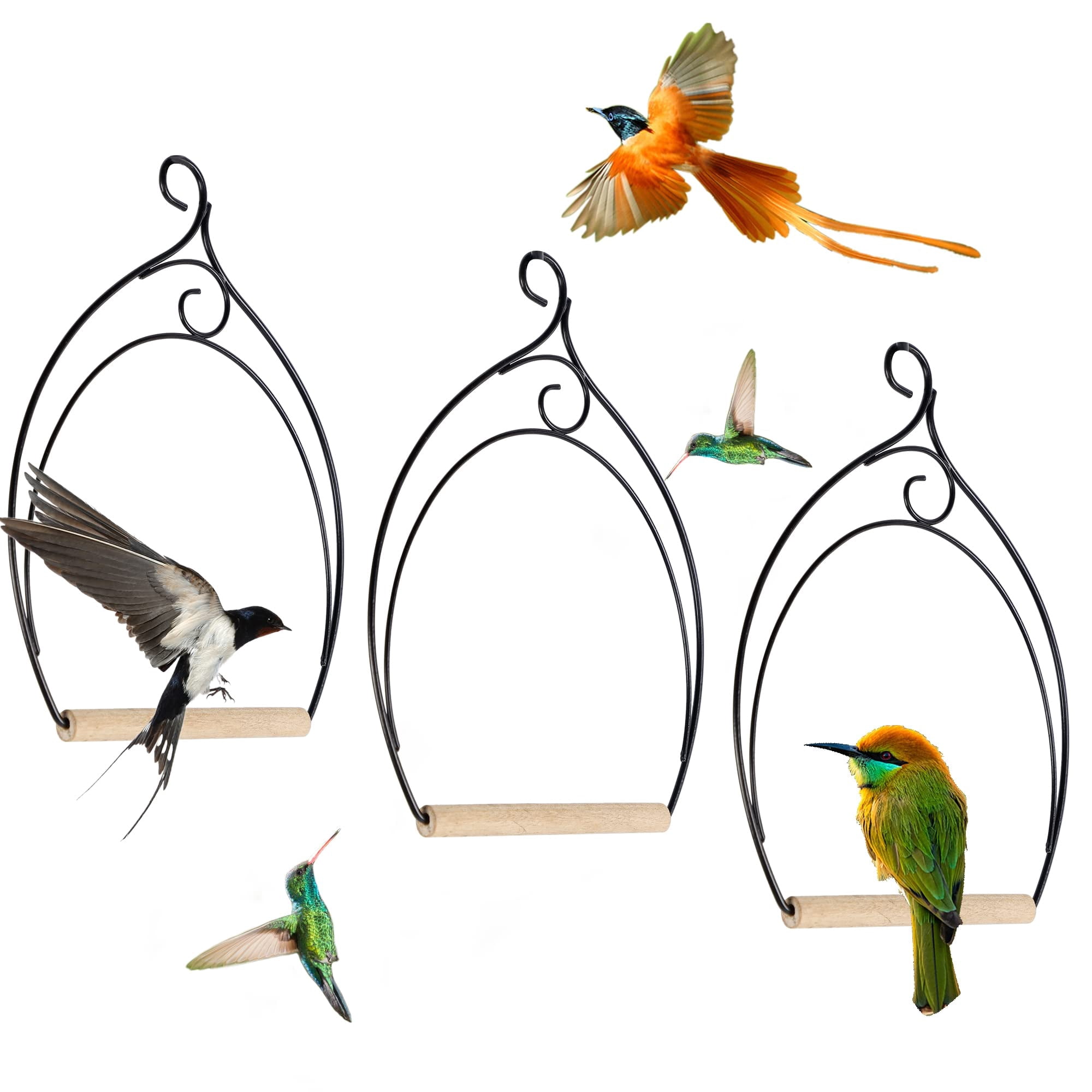Set of 3 Hummingbird Swings, Rust Resistant Metal Frame, Wooden Dowel ...