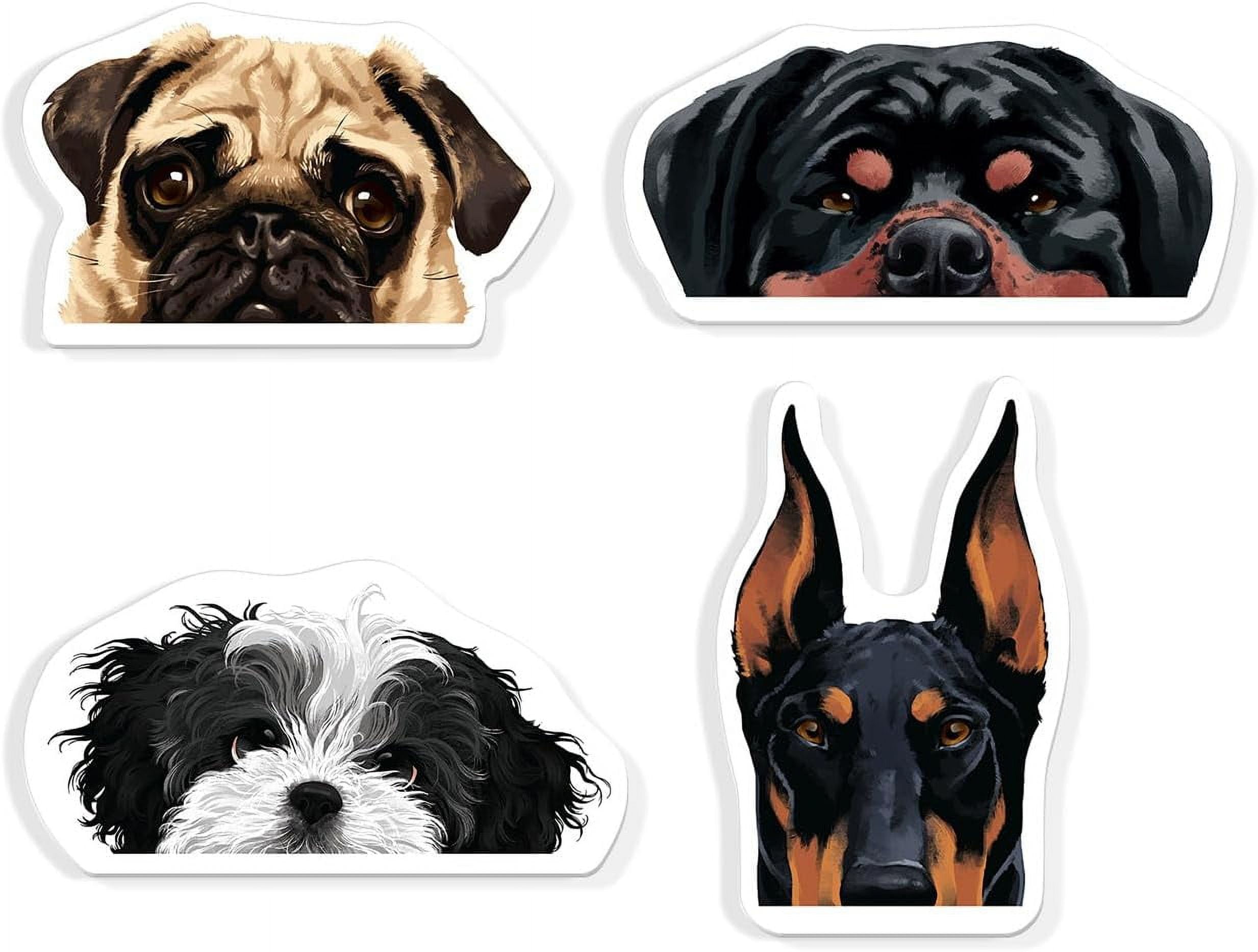 Set of 4 Fun Decorative Magnets for Home, Office, Classroom, Magnets to ...