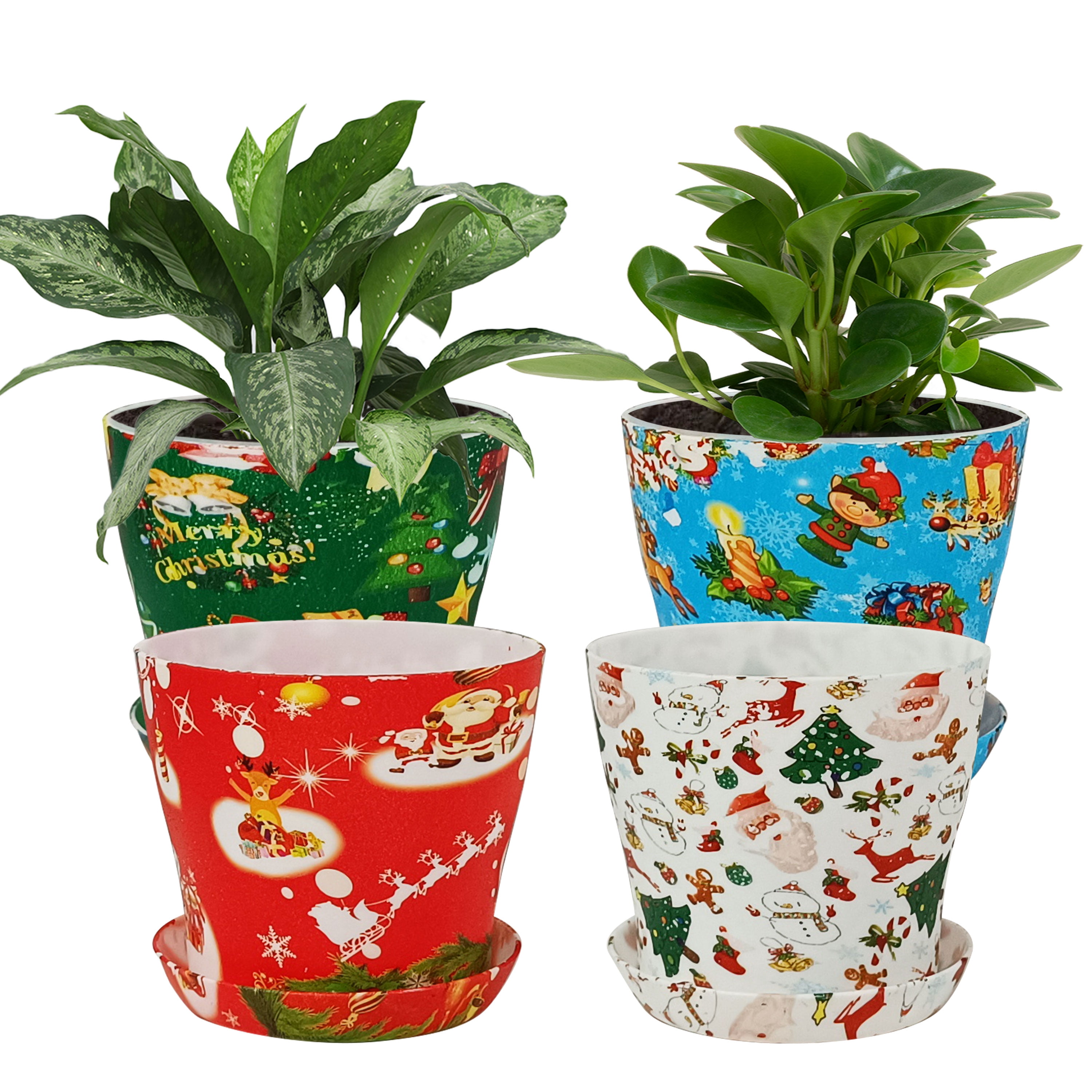 Set of 4 Plastic Printed Planters with Drainage Holes and Saucers,Diam ...
