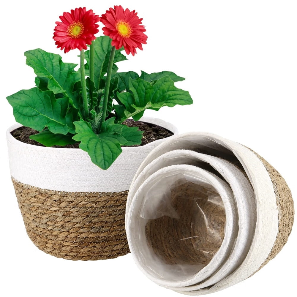 Set of 4 Seagrass Planter Basket,6" 7" 9" 10" Hand Woven Plant Basket ...